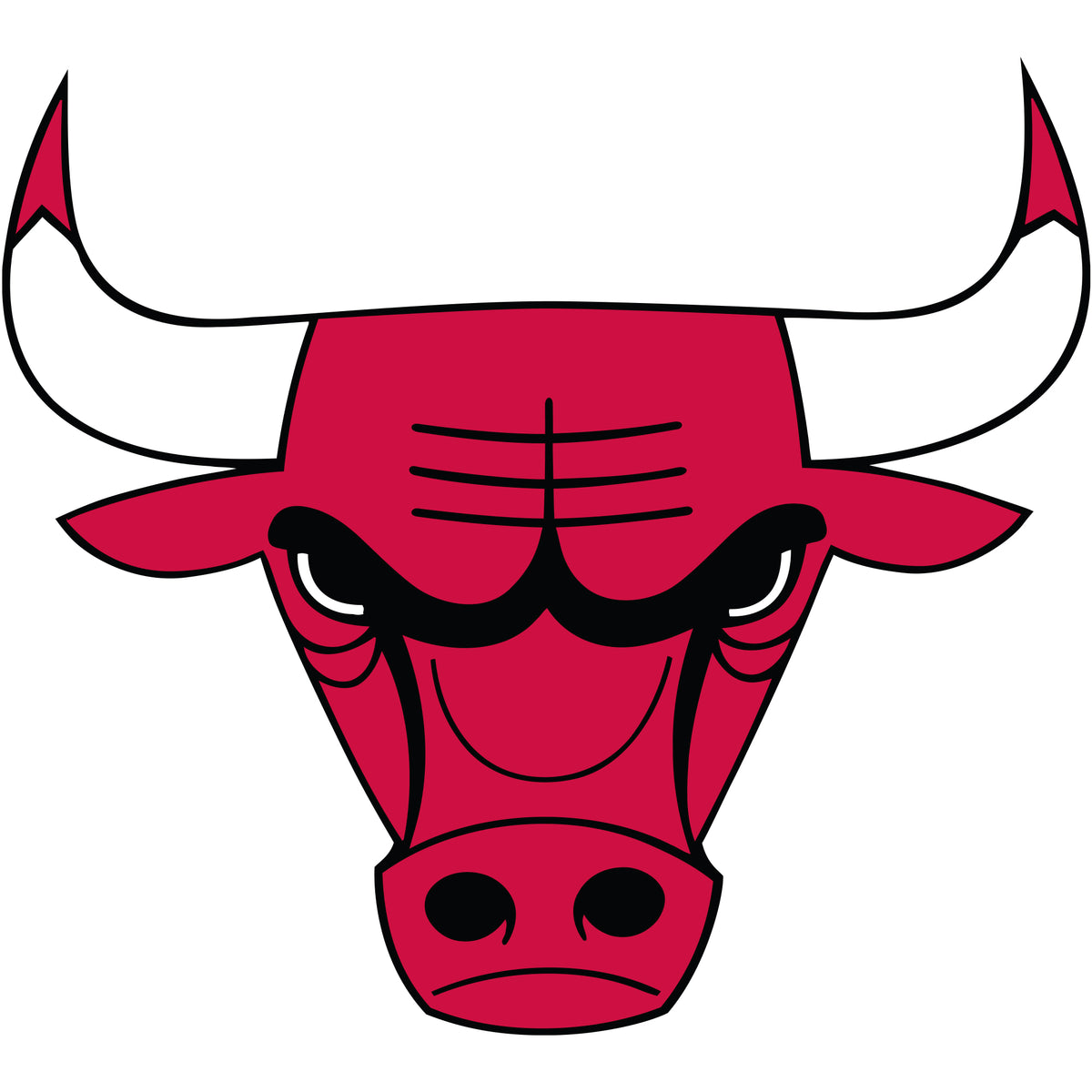 Chicago Bulls – Designs by Chad & Jake
